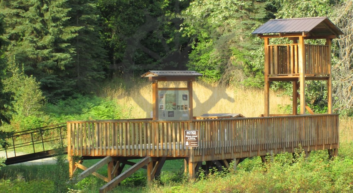 Gerrard trout spawning ground viewing platform, Gerrard | Arrow Lakes ...