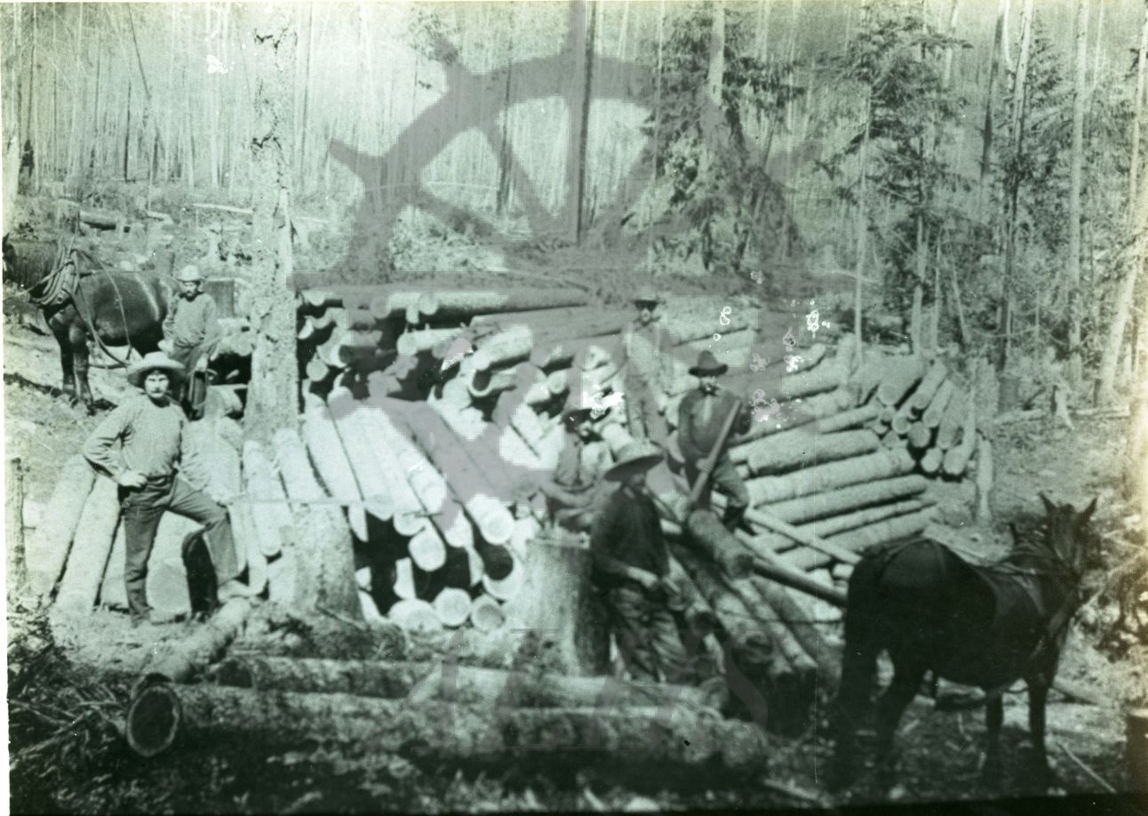 2017.023.3.2 Horse Logging | Arrow Lakes Historical Society