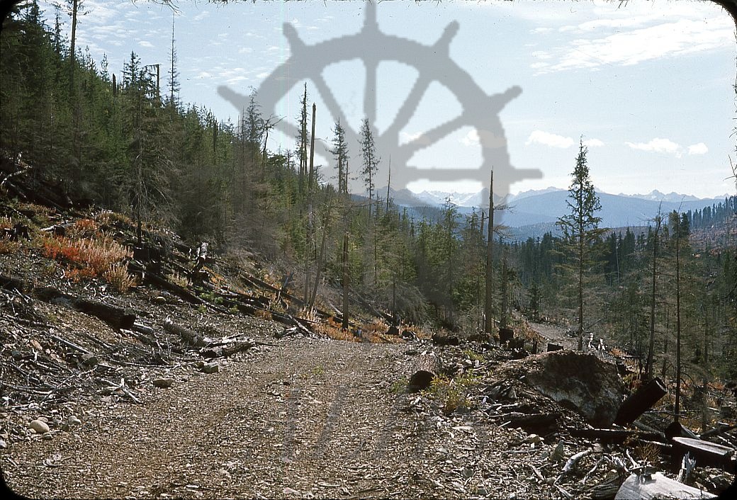 2022.009.2.33 Ross’ Logging Road | Arrow Lakes Historical Society